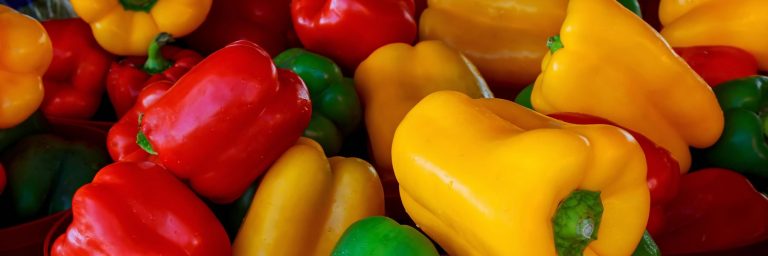 Peppers • Cut and Dried Flower Farm